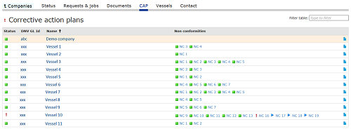 Corrective Action Plan